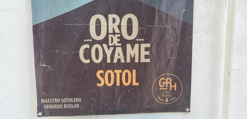 La historia ancestral de la “bebida del desierto” mexicana: el sotol ...